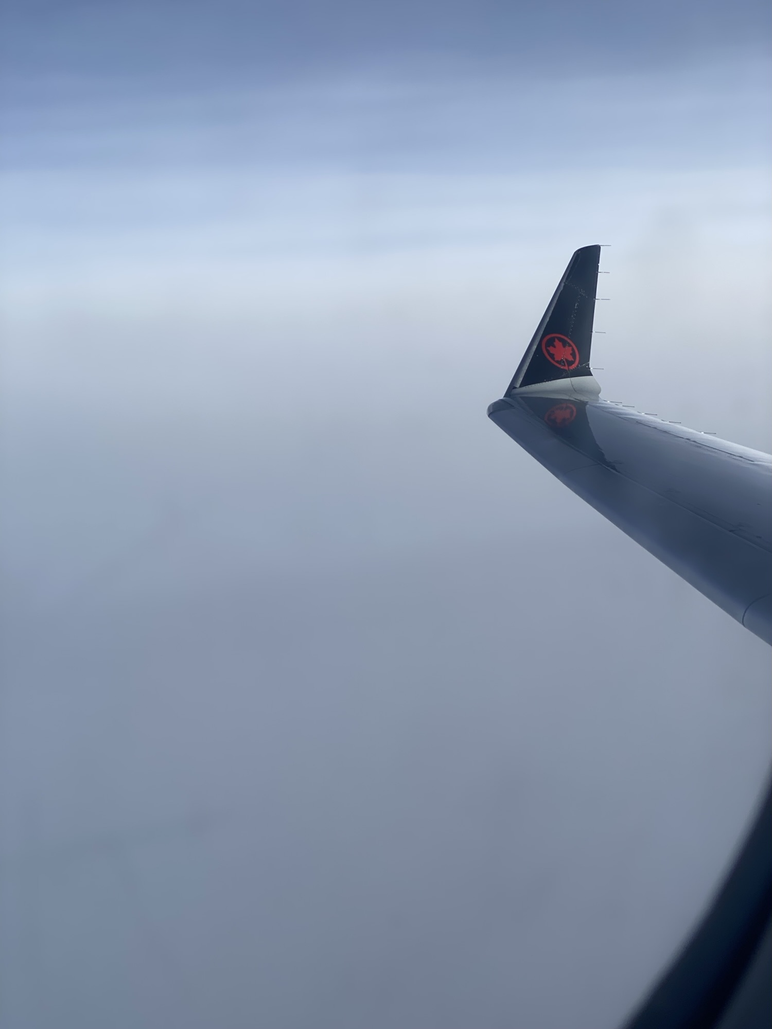 Flying into Toronto🥶 | get back, lauretta!