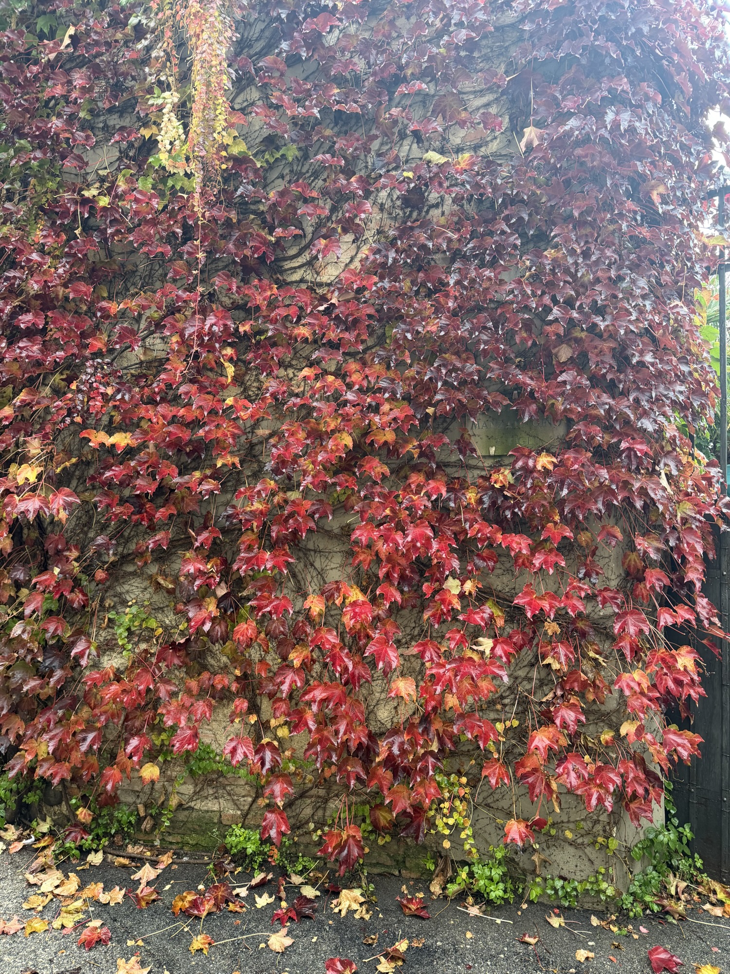 Scenes from late November | get back, lauretta!