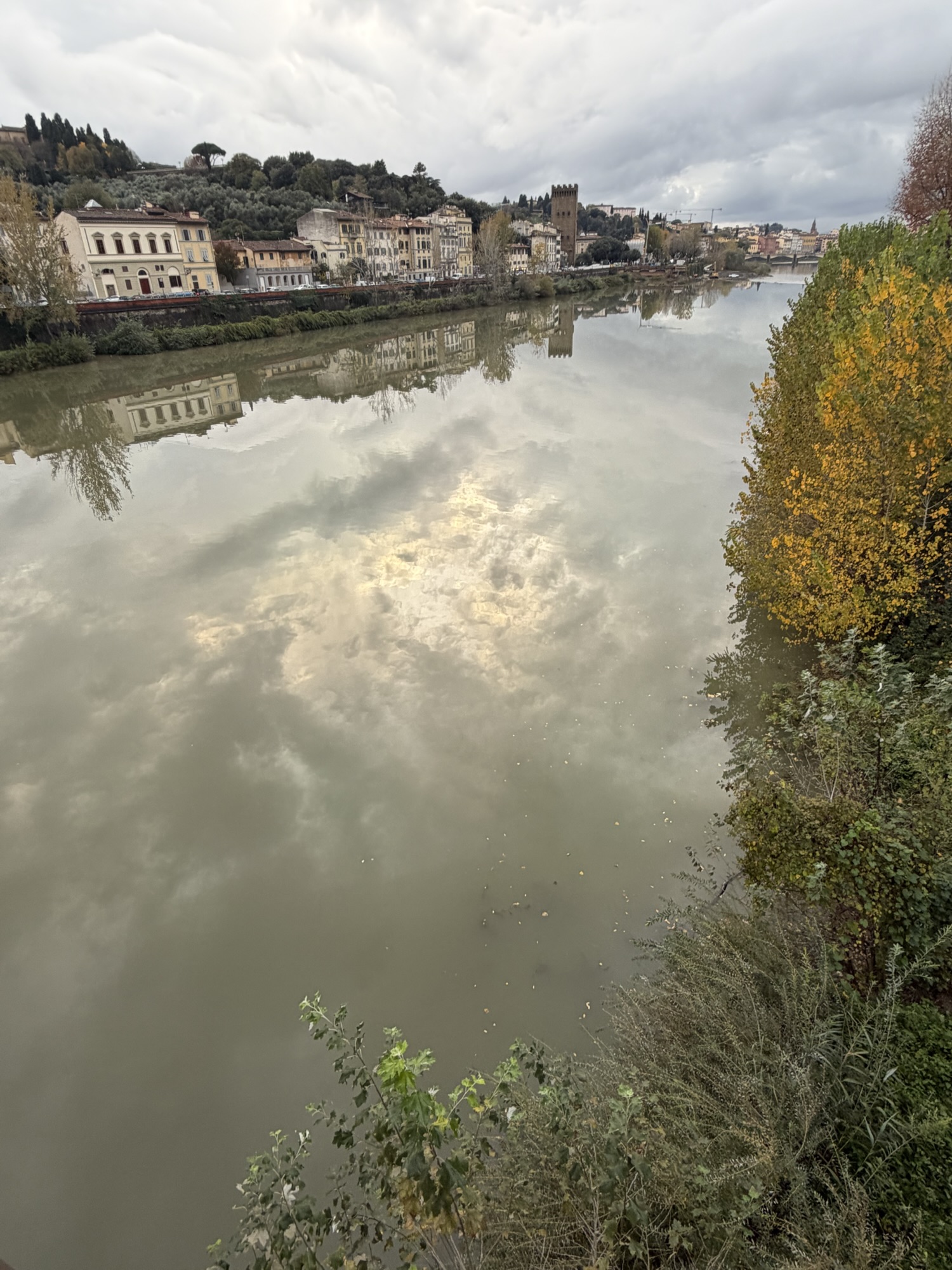 Scenes from late November | get back, lauretta!